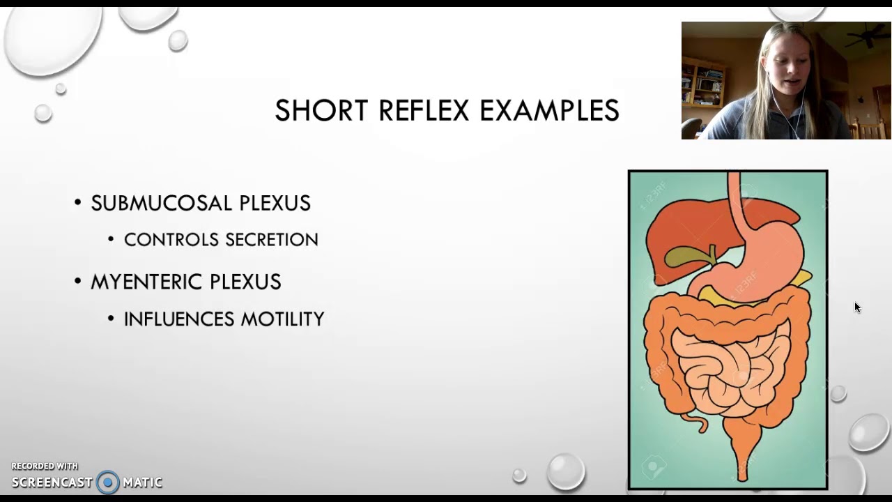 Short and Long Reflexes of the ENS - YouTube