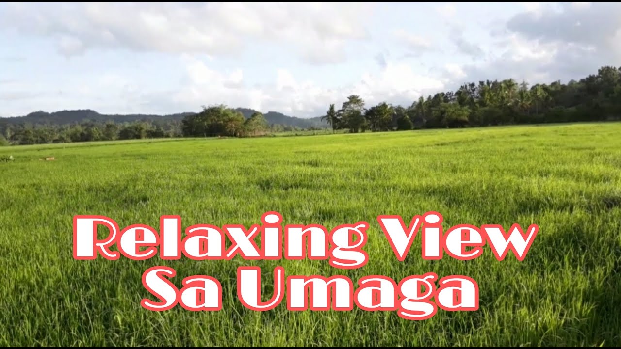 Relaxing View| Buhay Probinsiya - YouTube