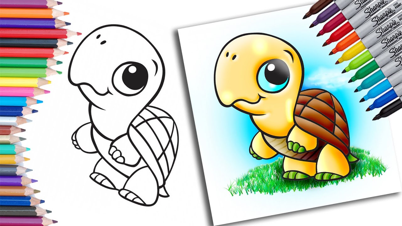 3D Coloring Tortoise (Step by Step) - YouTube