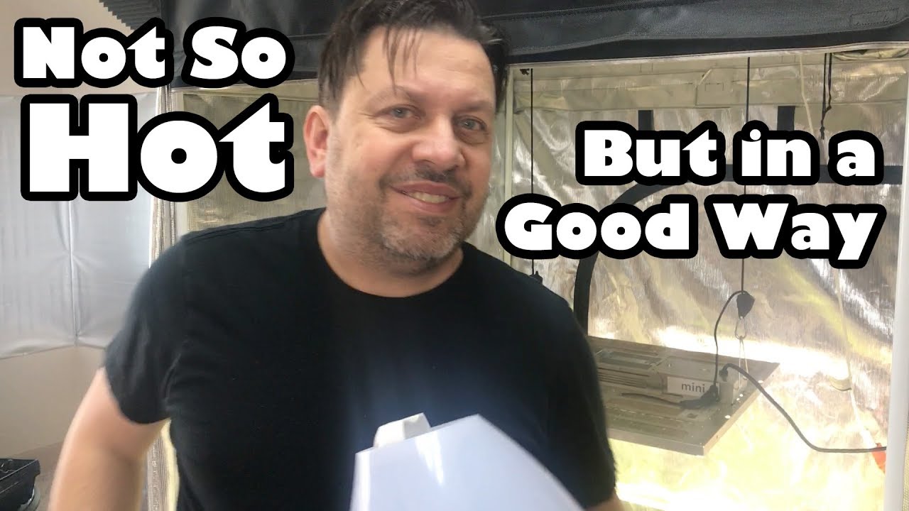 nextlight Mini LED Early Impressions | OCGFAM451 - YouTube