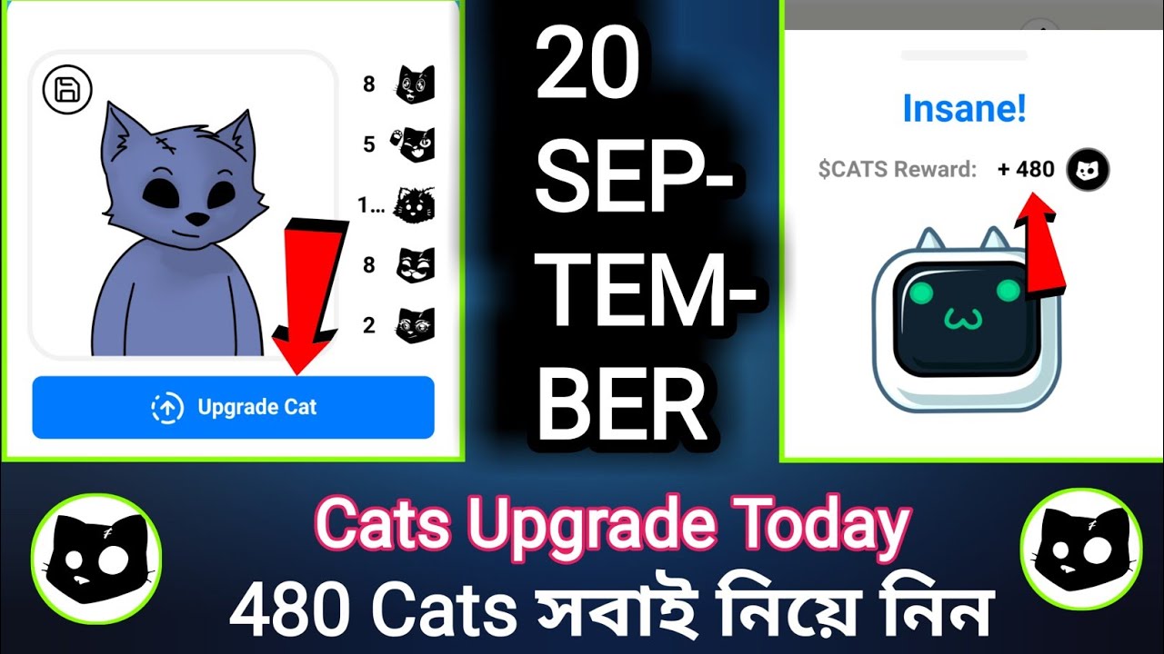 20 September upgrade cats | cat photo upload | cat avatar today - YouTube