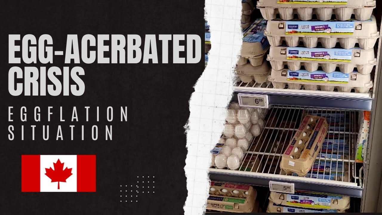 EGGFLATION Situation!! - YouTube