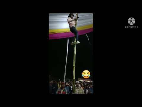 Funny videos A few moments later