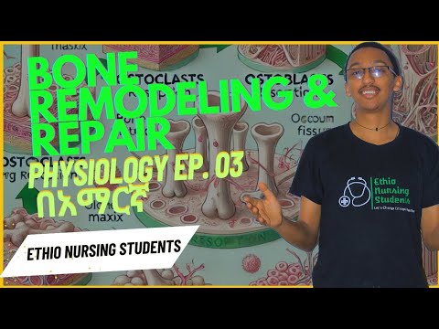 Physiology Skeletal System Ep.03: Bone Remodeling and Repair በአማርኛ ...