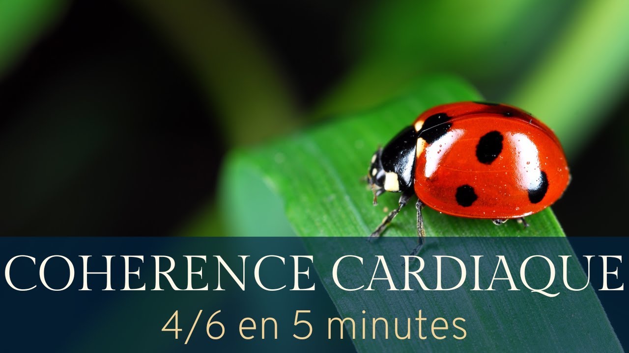 COHÉRENCE CARDIAQUE 5 minutes RYTHME 4/6 pour favoriser la détente ...