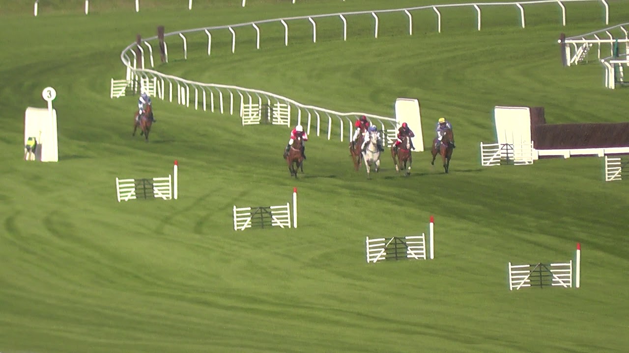 Cheltenham PCRD - She's A Lady, Fern O'Brien 2019 - YouTube