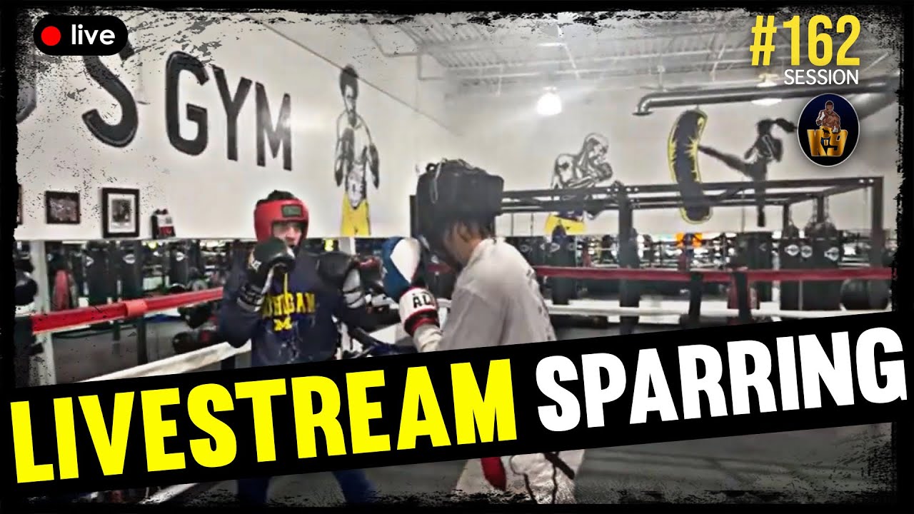 K9 Boxing Livestream: Sparring Session #162 - YouTube