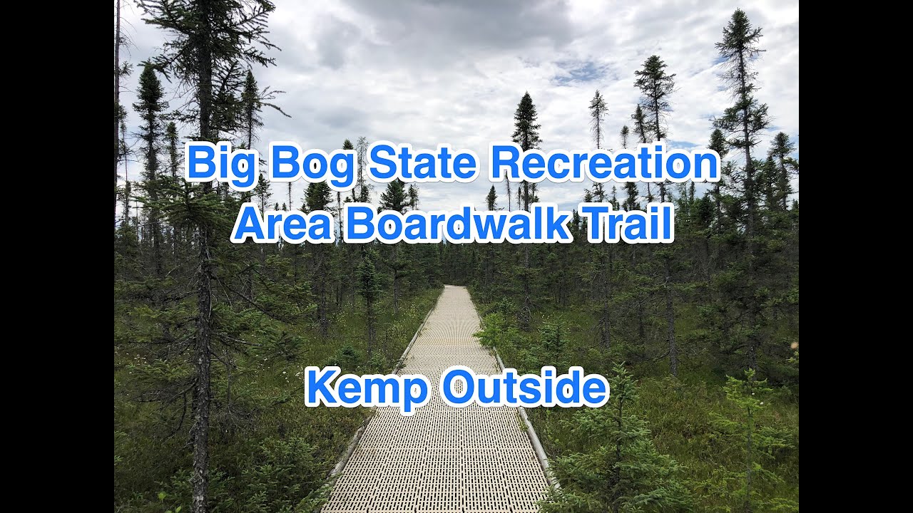 Exploring the Boardwalk Trail at Big Bog State Recreation Area in ...