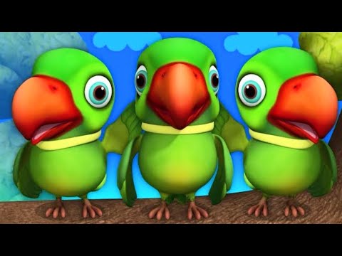 C-199 Mitthu Mitthu 🦜 | I am a parrot 🦜 | I am a parrot 🦜 #viral # ...