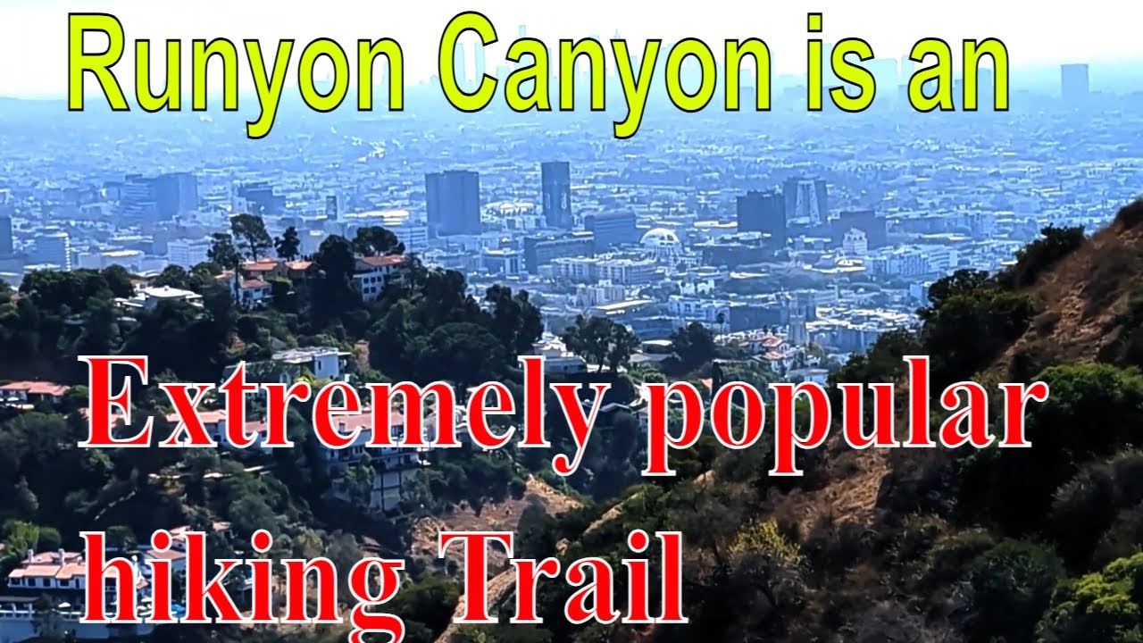 Runyon Canyon is an extremely popular hiking trail - YouTube