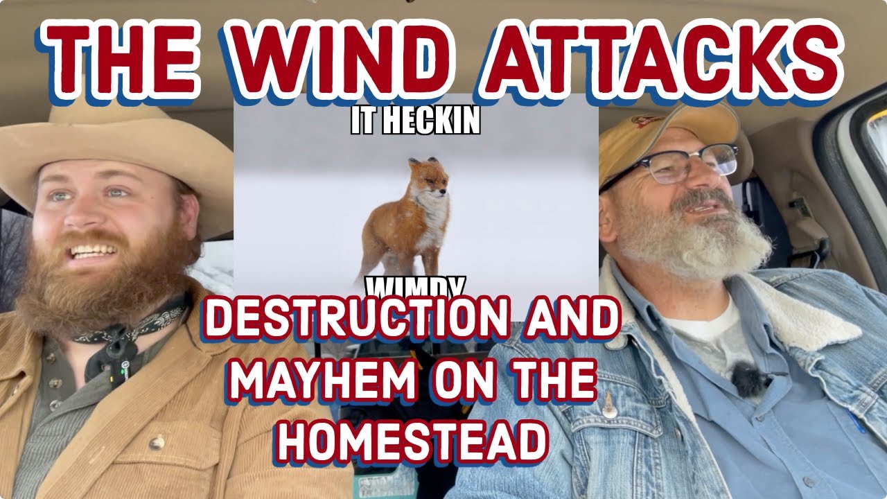 THE WIND ATTACKS! A HECTIC DAY OF MAYHEM - Castle Farms Homestead - YouTube