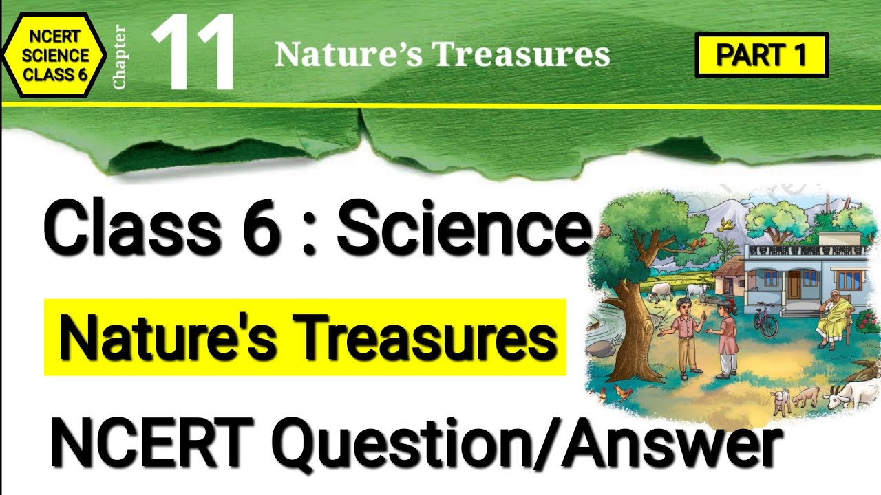 Class 6 Science Chapter 11 | Nature's Treasures | Question Answer ...