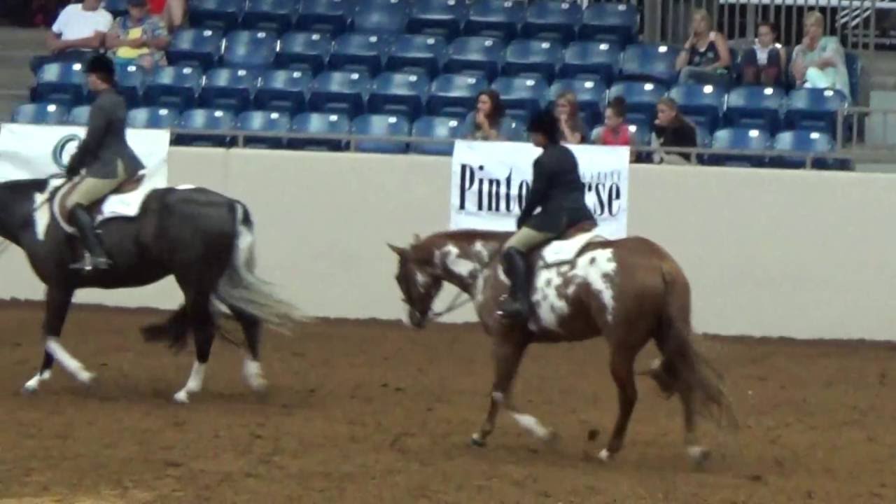 Pinto World Show 2015 - YouTube