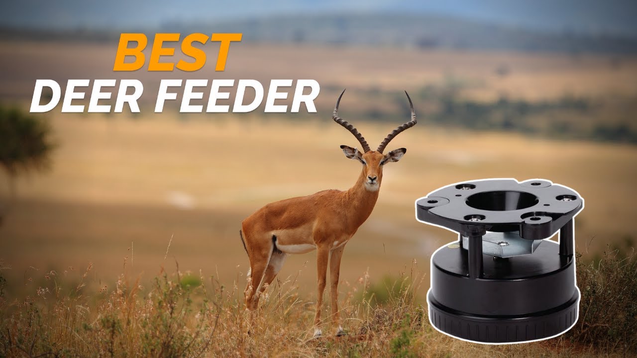Best Deer Feeder - Outdoor Gadgets for Wildlife Enthusiasts - YouTube