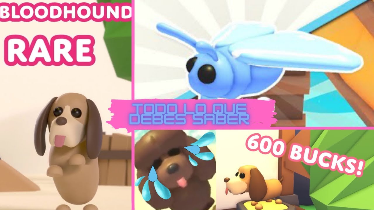 ADOPT me: UGC actualización . Lo que debes saber - YouTube