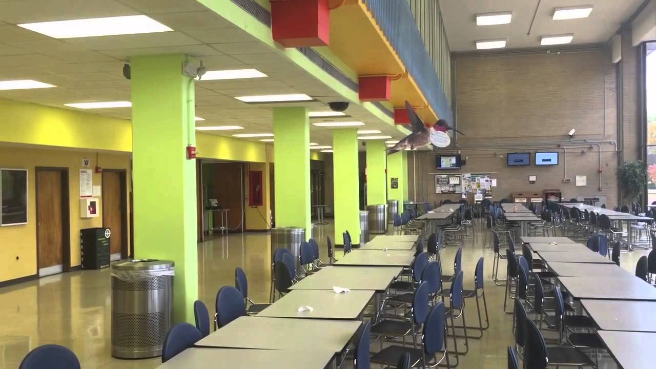 Fire alarm test - Simplex code 3 (temporal alert) with synchronized ...