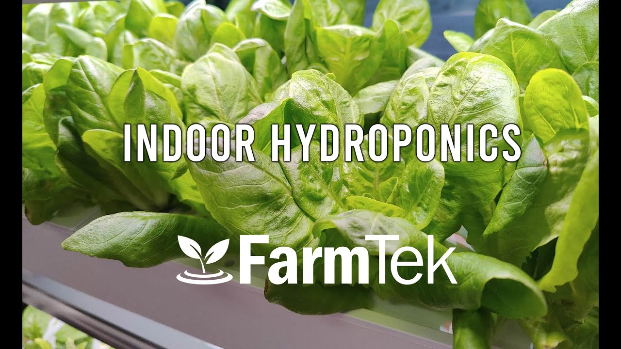 FarmTek Indoor Hydroponic Kit System With Built-in LED lights (SS-120 ...