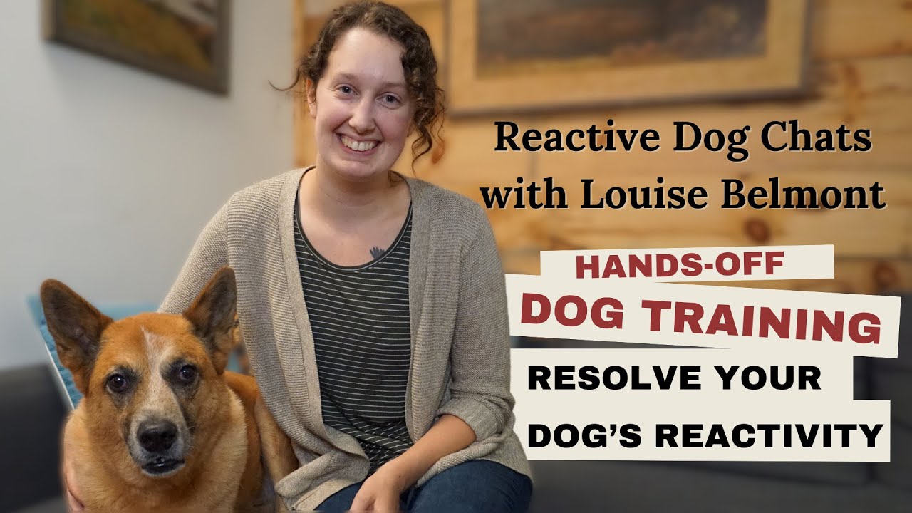 #02: Reactive Dog Chats: Hands-off reactive dog training. Training for ...