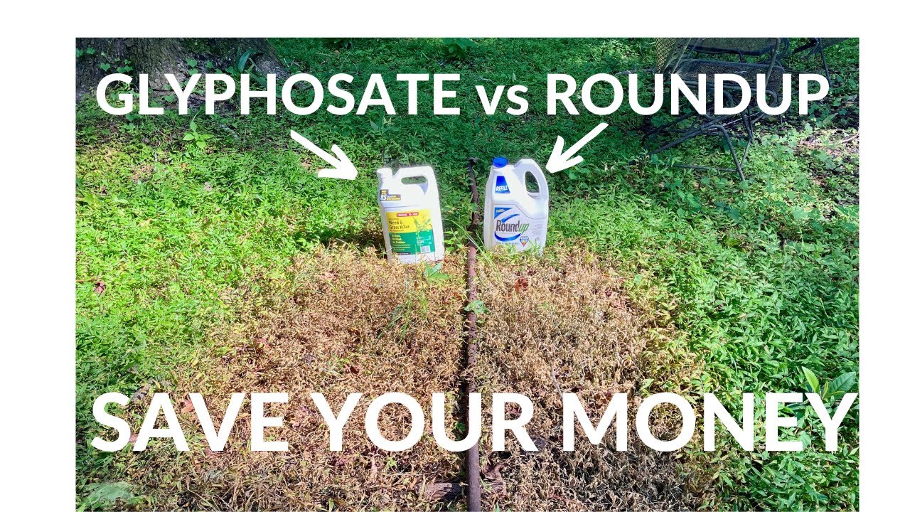 Roundup Vs Generic Glyphosate/Cost and One Week Results - YouTube
