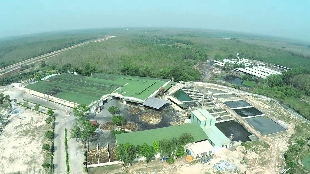 MaiVinh Rubber factory's landscape - YouTube