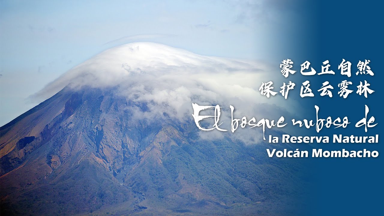 El bosque nuboso de la Reserva Natural Volcán Mombacho: un regalo de ...