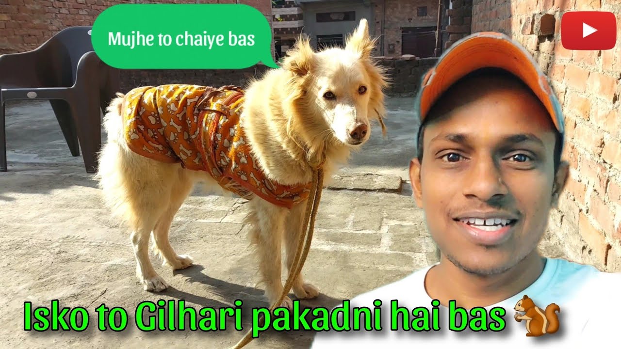 Isko to Gilhari pakadni hai bas | सर्दियों में मिक्स साग के मजे ...