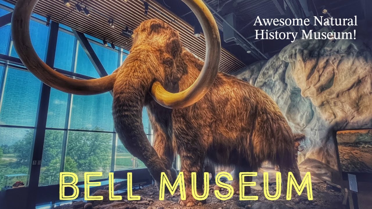 The Bell Museum: A Must-See for Science Lovers - YouTube