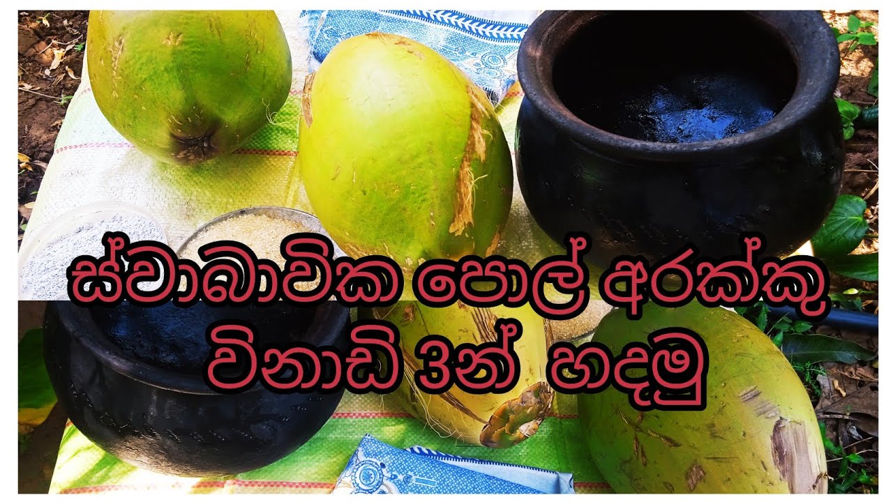 How to make coconut arrack |පොල් අරක්කු විනාඩි 3න් - YouTube