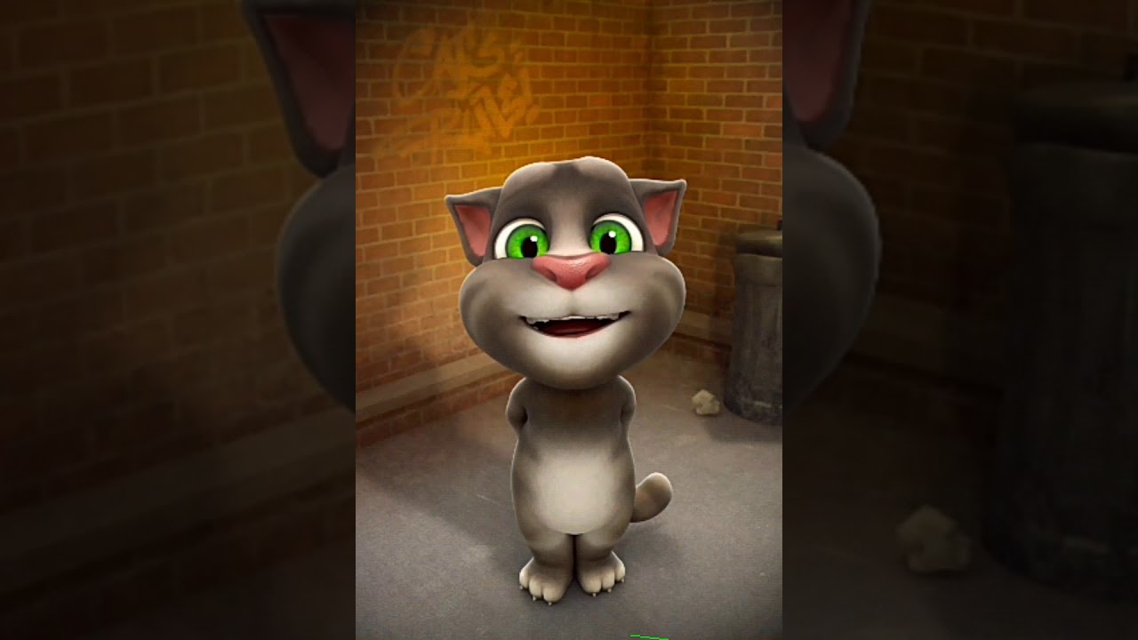 talking tom song - YouTube