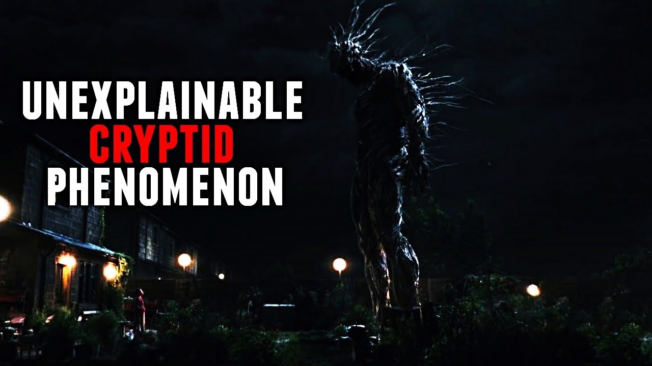 UNEXPLAINABLE Cryptid Phenomenon FT Mr. Spook - YouTube