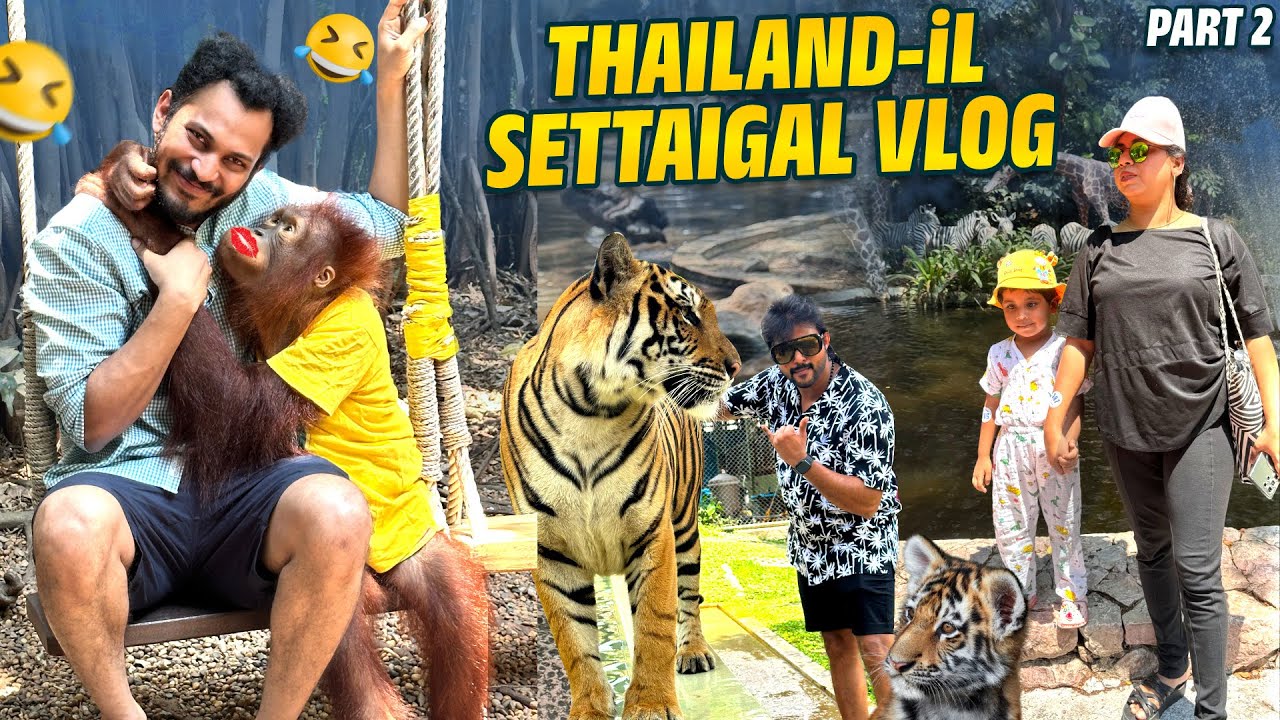 Thailand சேட்டைகள் Vlog 2 with Pandian Stores Mahesh | Yelloh World | Kuraishi Vibes - YouTube