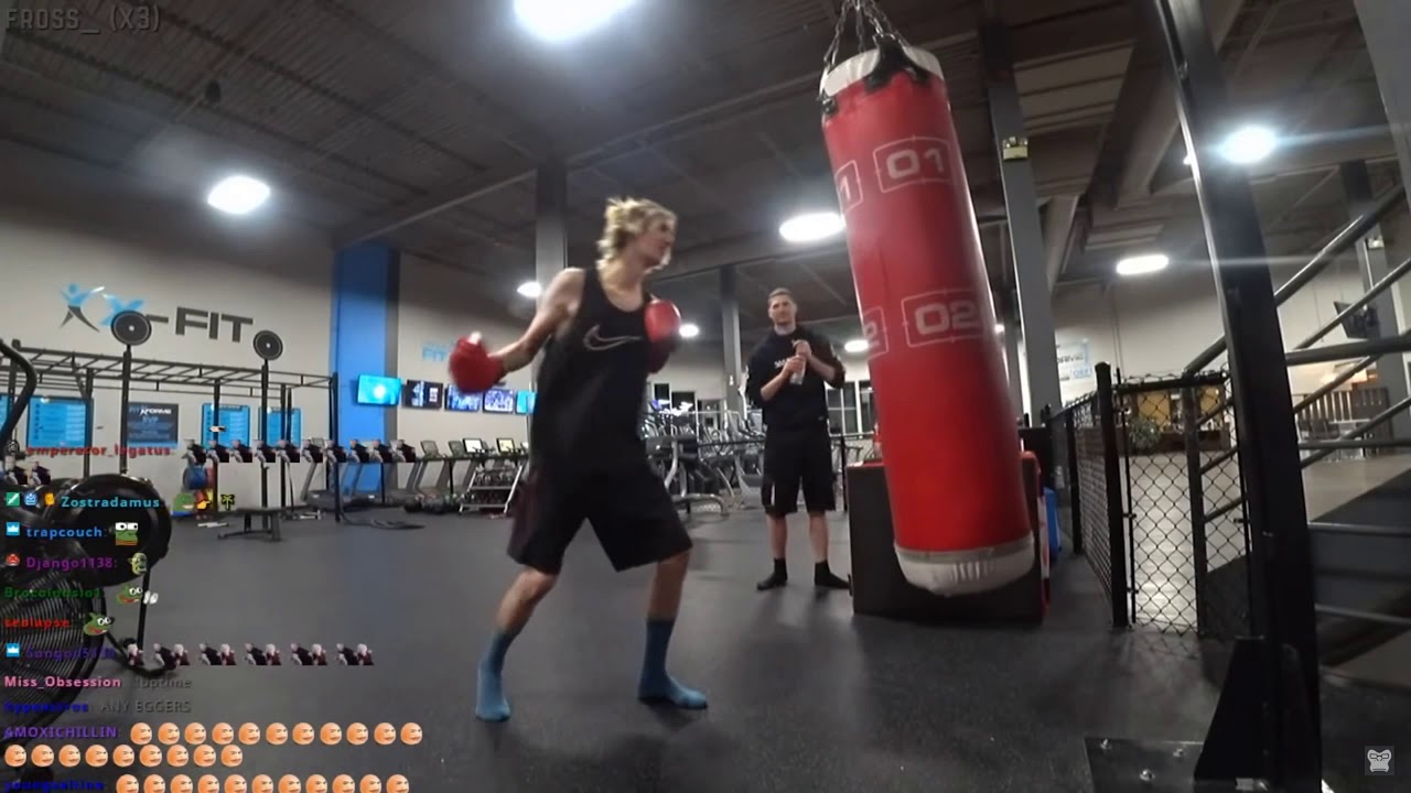 XQC At His Best/In His Prime 🤣 - YouTube