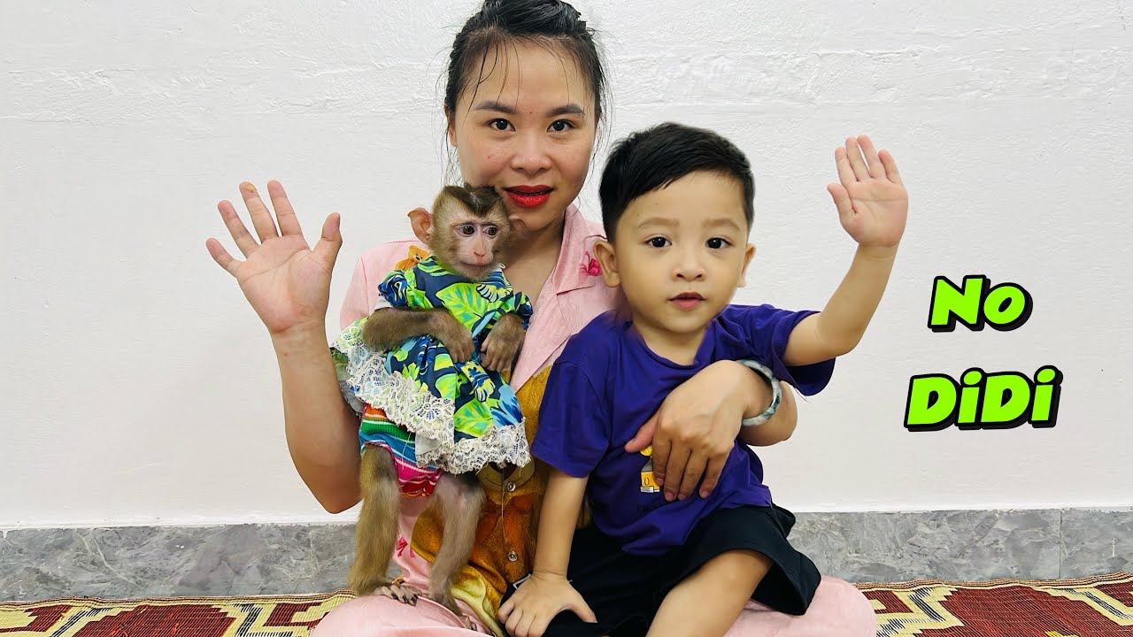 It's sad that mom hasn't been able to bring monkey DiDi back to monkey ...