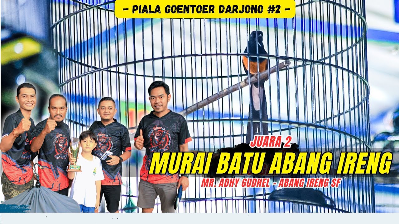 Murai Batu ABANG IRENG Tampil Mewah Juara 2 di Piala Goentoer Darjono ...