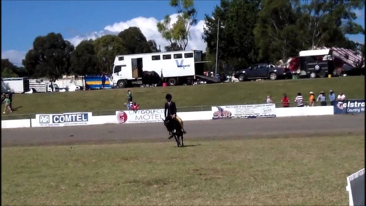 Toowoomba Royal Horse Show Highlights - YouTube