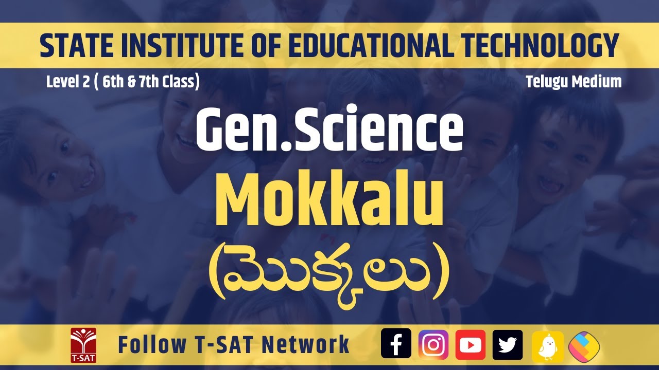 Science (TM) - Mokkalu (మొక్కలు) | SIET (Level 2 - 6th & 7th Class) | T ...