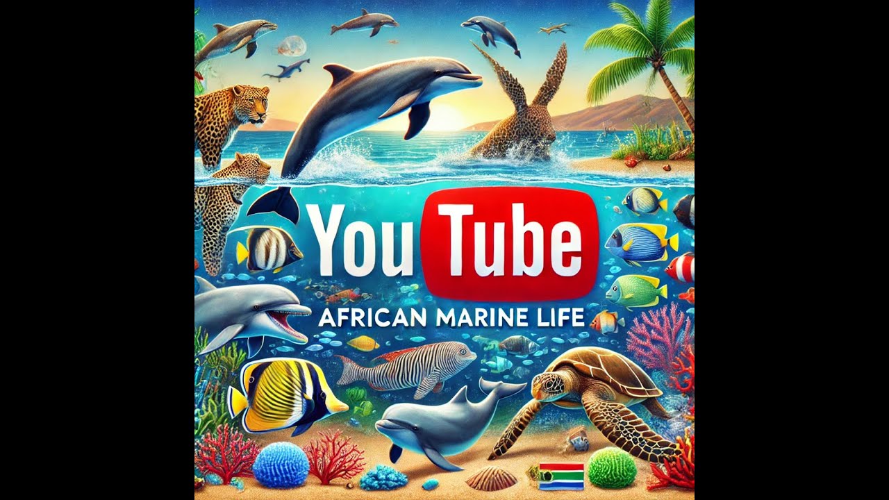 Exploring Africa’s Unique Marine Life: The Secrets Beneath the Waves ...