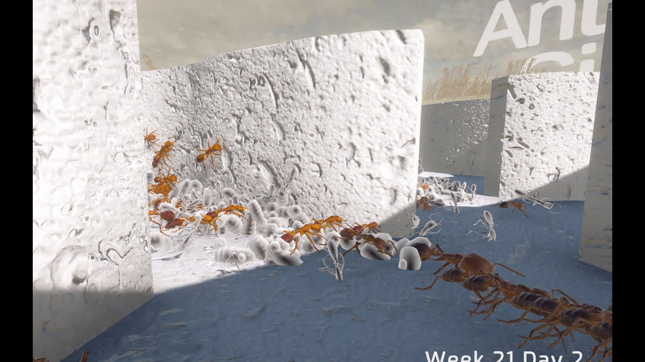 Ant keeping Simulator and my colony NEEDS TOO MUCH FOOD - YouTube