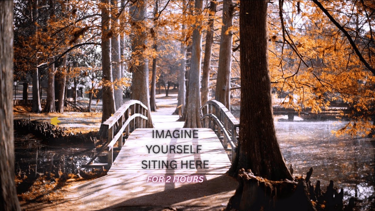 Autumn Leaves Falling 🍂 Wooden Bridge Ambience | Relaxing Nature Sounds ...