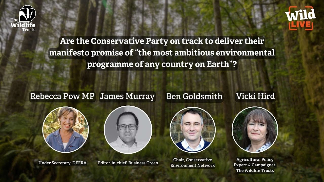 Wild LIVE: Is the Conservative Party on track to deliver their ...