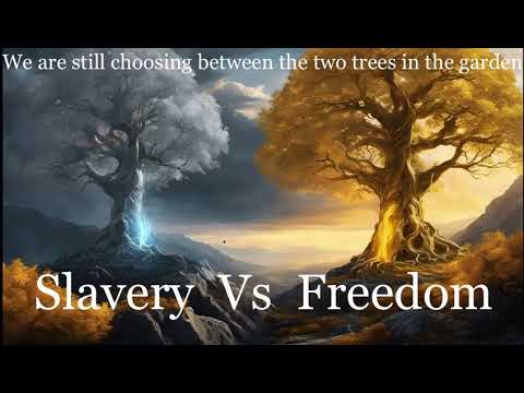 Slavery Vs Freedom - YouTube