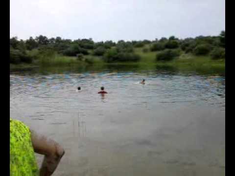 swimming in swamp - YouTube
