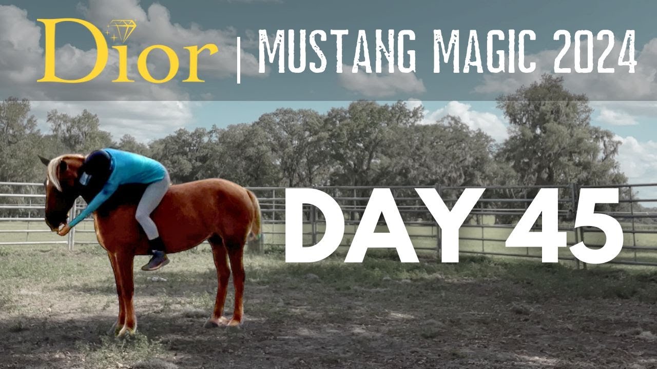 Dior Vlog Day 45: Learning the buttons - YouTube