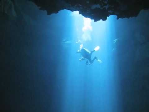 Diving in Buford Sink, Hernando, Florida - YouTube