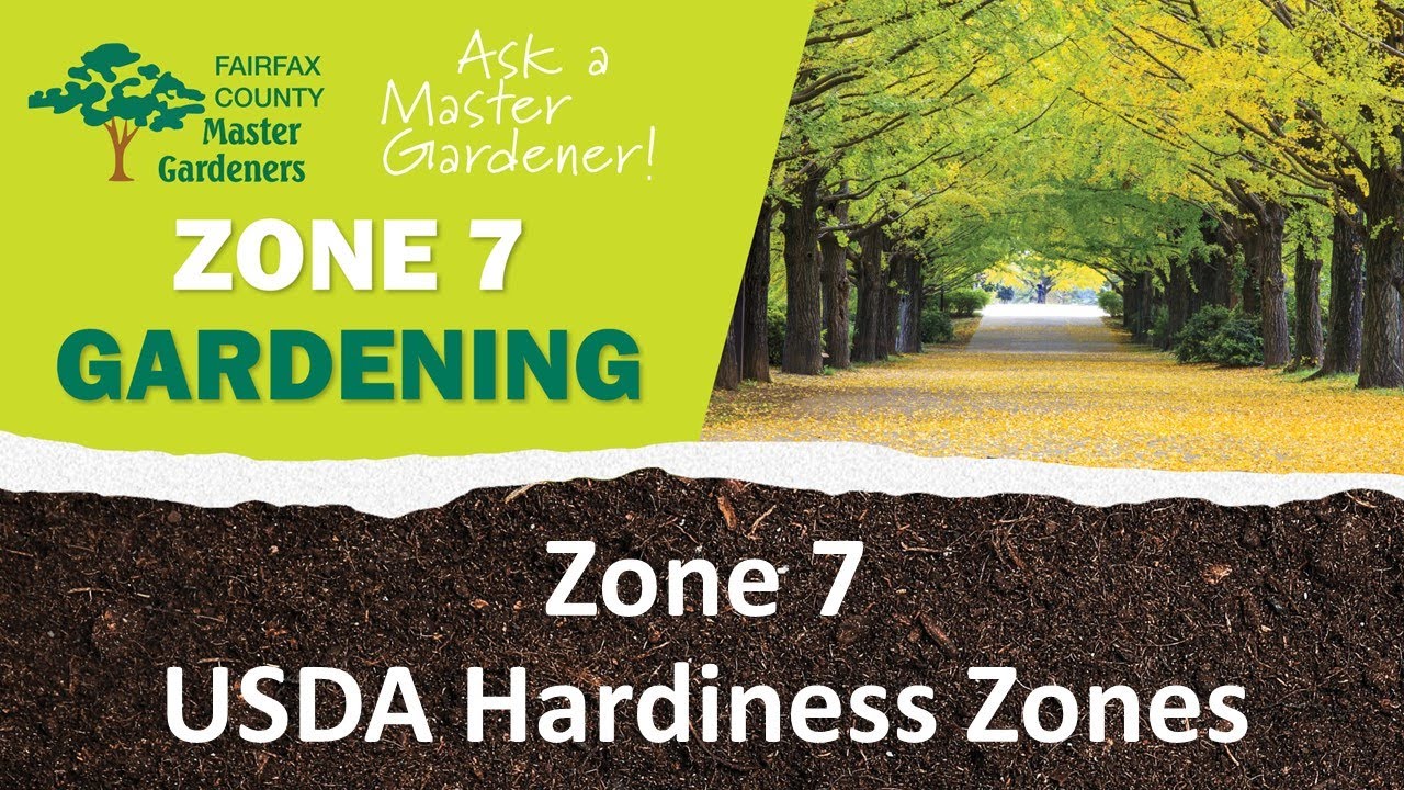 Zone 7 Hardiness - YouTube
