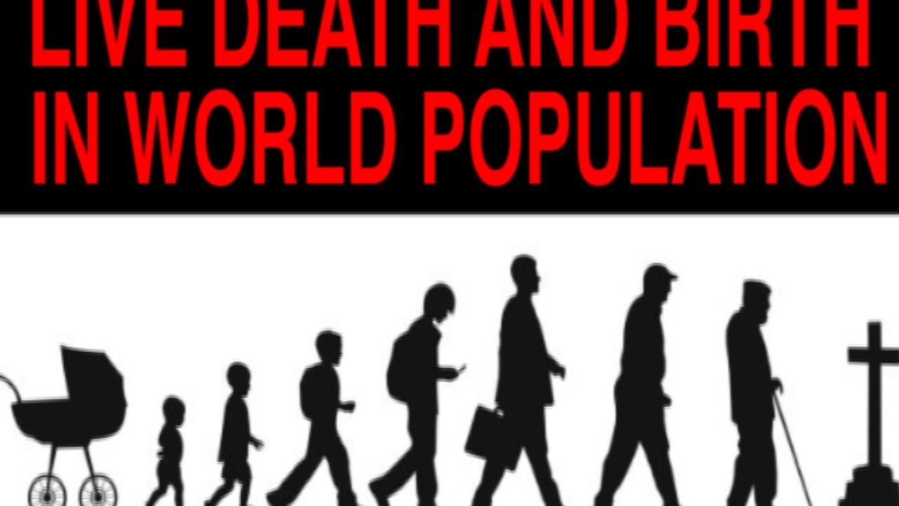 death and birth counter in the world | death and birth around the world ...