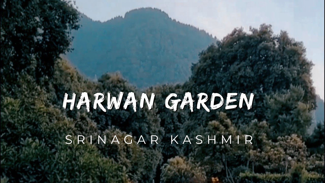Harwan Garden |Srinagar Kashmir |MESMERISING - YouTube