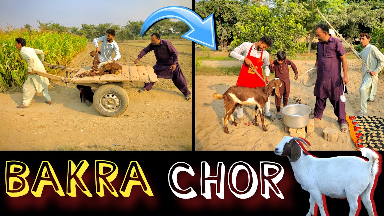 Bakra Chor 🐏 🤣 | Try Not To Laugh 😂 | Wait for end - YouTube