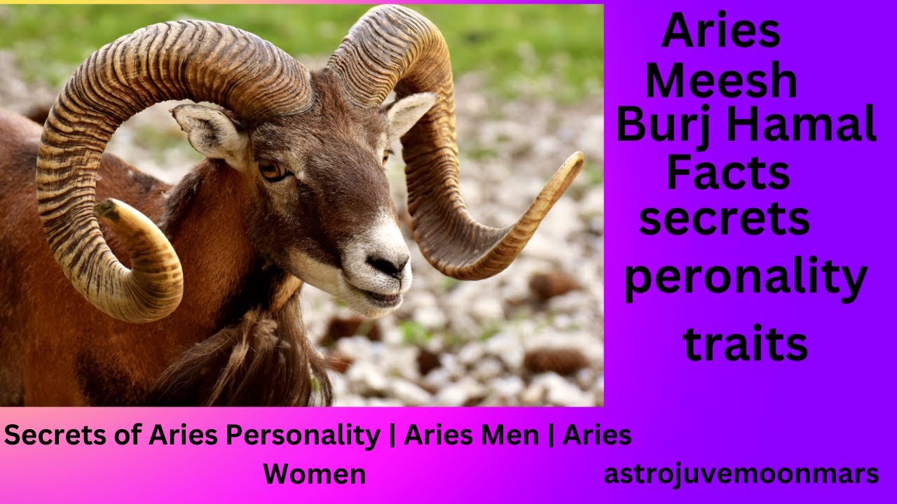 The Ultimate Guide to Aries Personality Traits and Secrets" Facts Aries ...