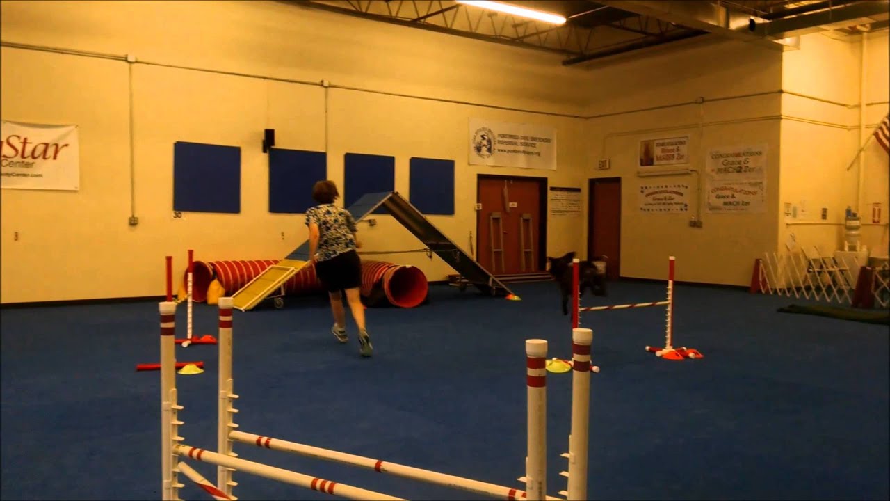 Switch Agility Practice 6-3-15 - YouTube
